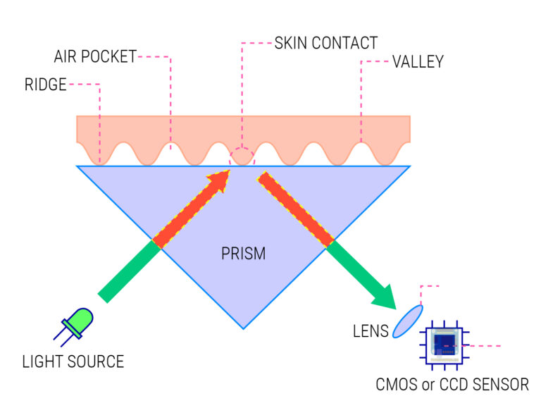 Using a Fingerprint Sensor | Microcontroller Tutorials